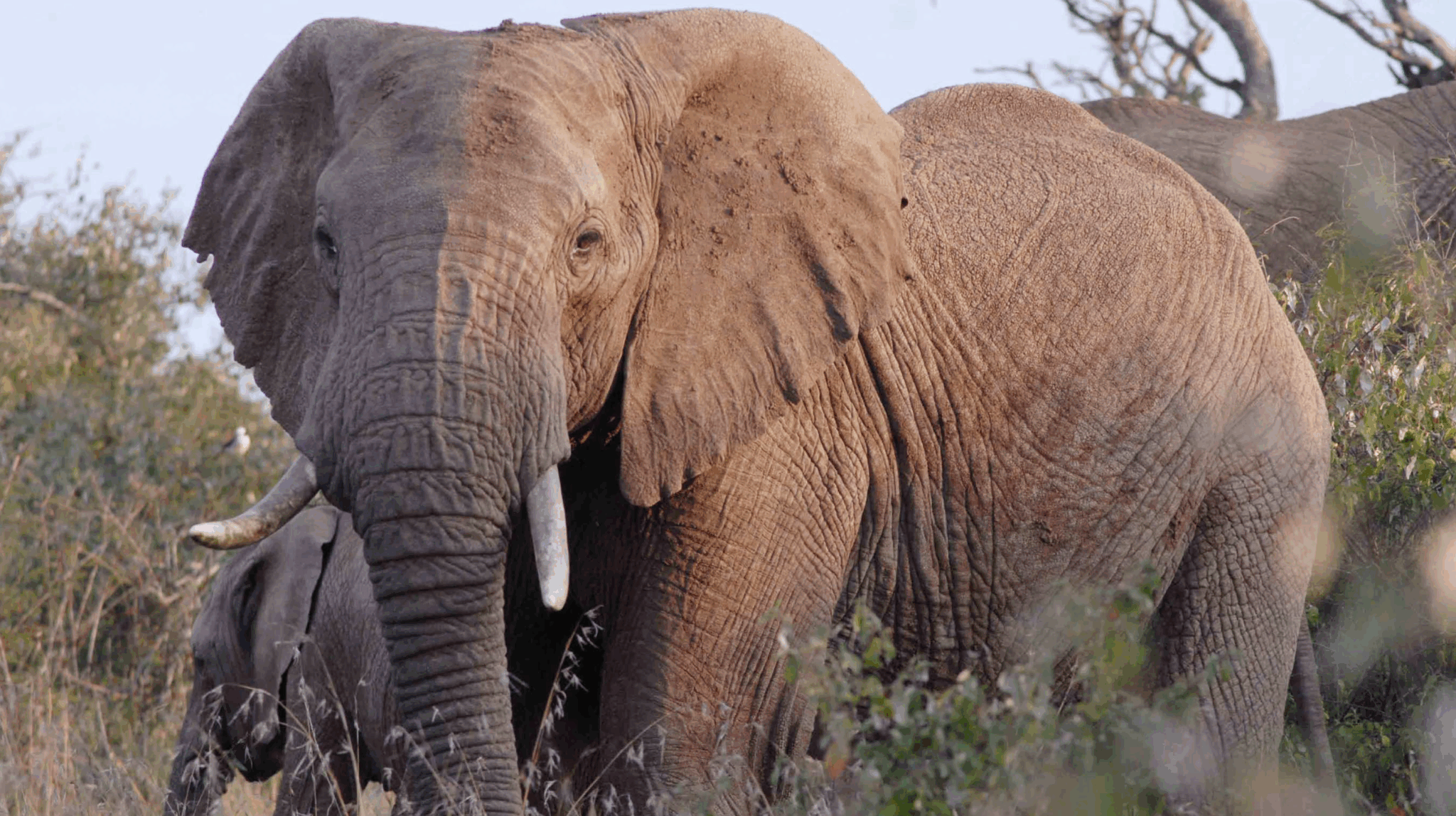 FLEXENTIAL – LEADING THE CHARGE IN DATA CENTER INNOVATION AND SUSTAINABILITY – Innovations of ...